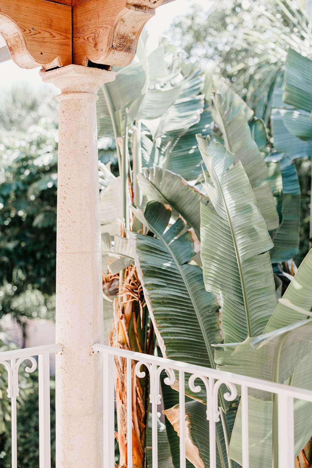 Kristen + Michael, The Colony {Palm Beach} - Jessica Bordner